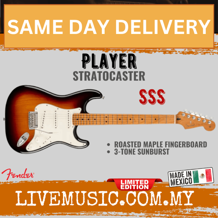 Fender Limited Edition Player Stratocaster Electric Guitar, Roasted ...