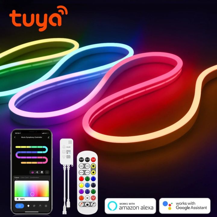 Tuya Smart Wifi Neon LED Strip Lights 24V RGB Dimmable Dream Color ...