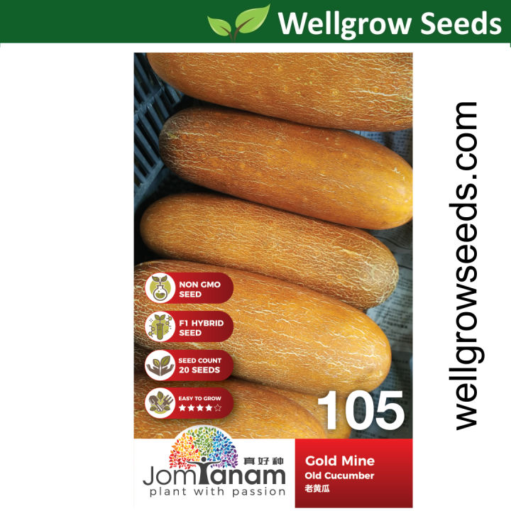 Cucumber Old Gold Mine (20 seeds) 老黄瓜 Jom Tanam by Crop Power JT105 ...