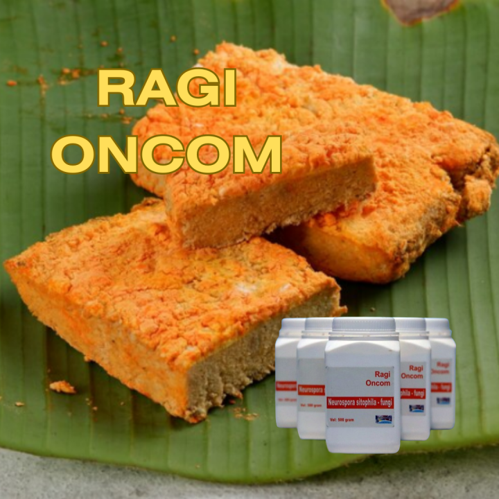 Ragi Oncom 10g Tempeh Oncom Merah Bandung Neurospora Sitophila | Lazada