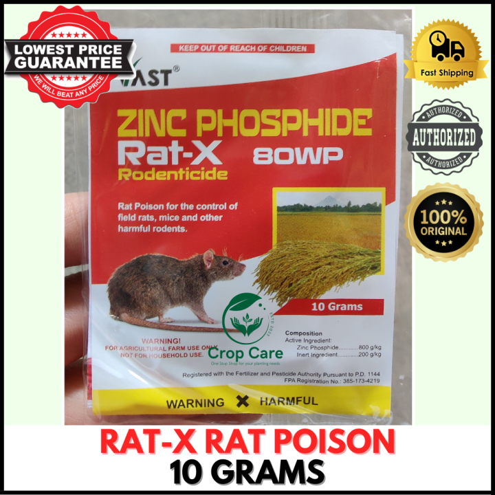 RAT-X (ZINC PHOSPHIDE) - RAT POISON / RAT KILLER / LASON SA DAGA ...