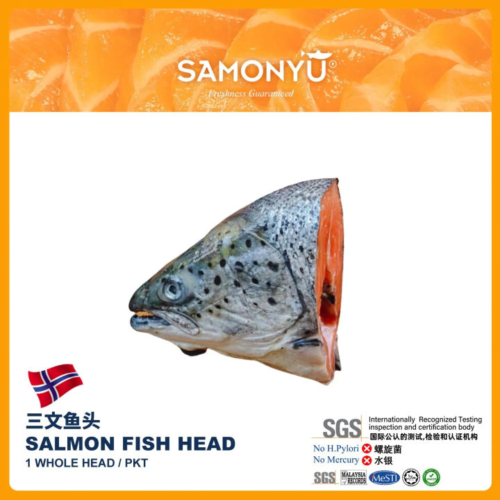 SAMONYU ~ 三文鱼头 Salmon Head (Whole PC) | Lazada