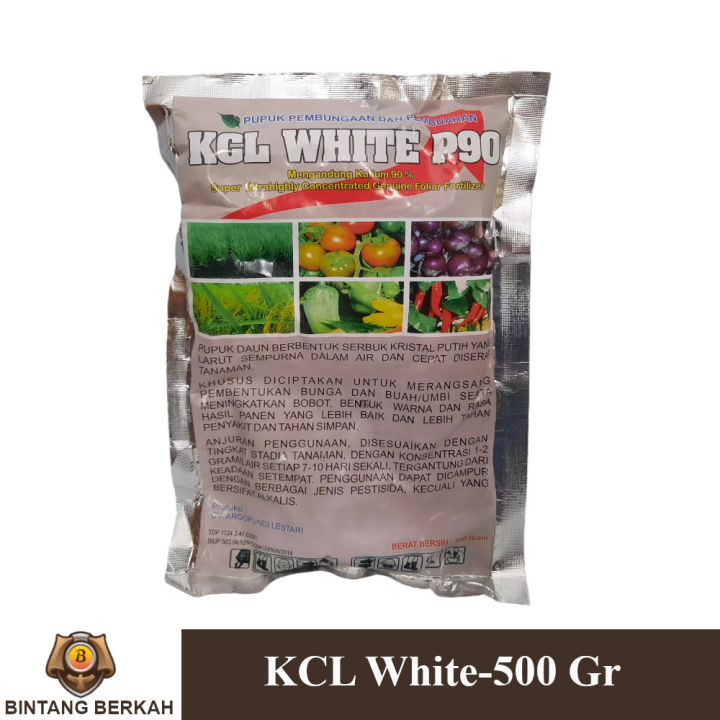 KCL White 500 Gram Pupuk Pembesar Umbi dan Pengisi Bulir Padi Pertanian ...