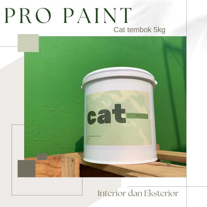 Cat Tembok Rumah Kemasan Galon 5 KG | Lazada Indonesia