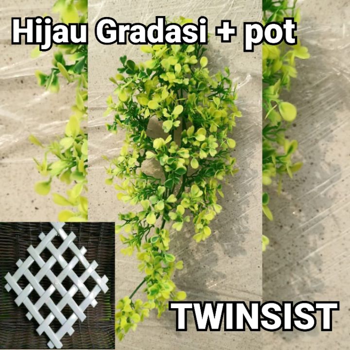 Bunga Rambat Oxelia Gantung Plastik Artificial Palsu / Bunga Rambat ...