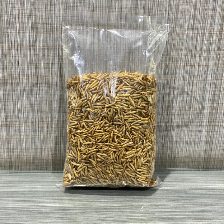 MAGGOT KERING 250GR DRIED LARVAE BSF LARVA MAGOT PAKAN MAKANAN IKAN KOI ...