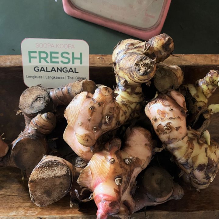 Fresh Galangal Lengkuas Langkawas Thai Ginger 250g/500g/1kg | Lazada PH