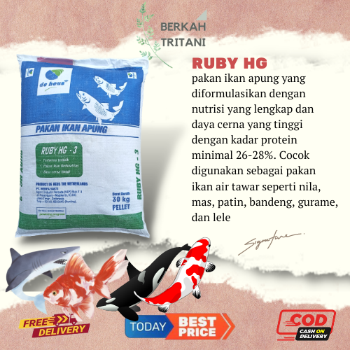 Pelet Ikan Pakan Ikan Ruby HG (10 kg) nila, mas, patin, bandeng, gurame, dan lele | Lazada Indonesia
