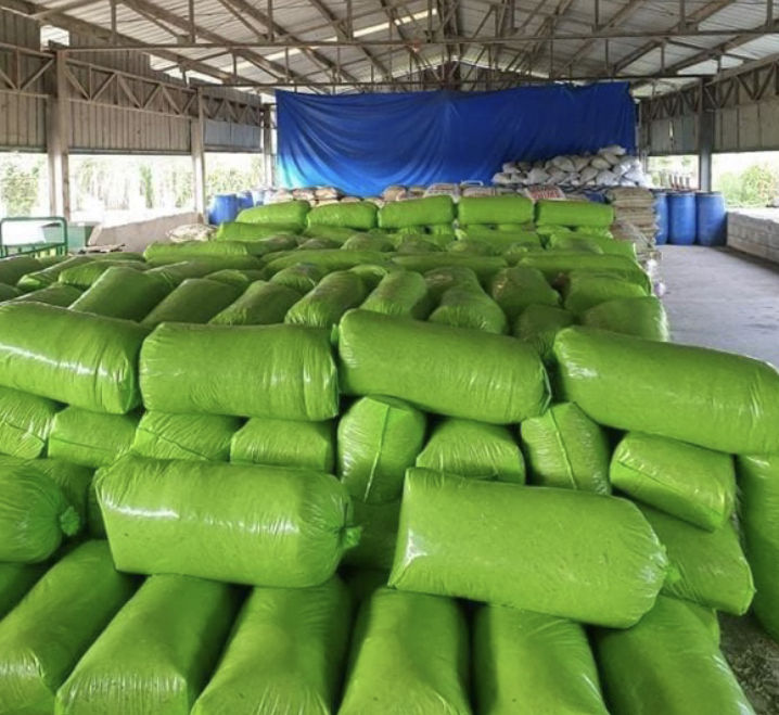 Plastik Silaj Napier/ Bag Silaj Napier 1KG (7～8pcs) | Lazada