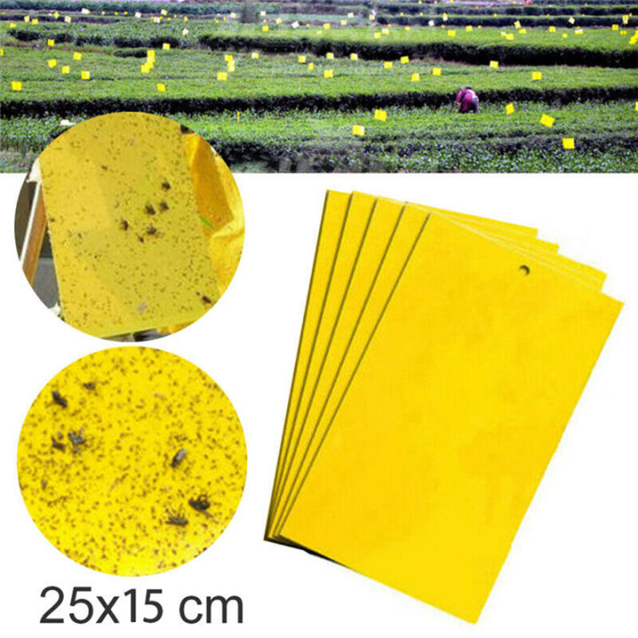 5pcs Yellow Sticky Glue Paper Insect Trap Pests Catcher Killer Fly ...