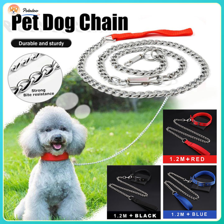 1.2M/1.7M Stainless Steel Dog Chain and Dog Collars stainless steel dog ...