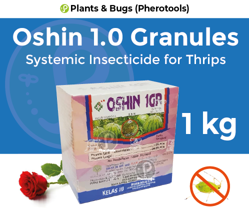 Oshin Granules - Systemic Insecticide Racun Serangga for Thrips ...