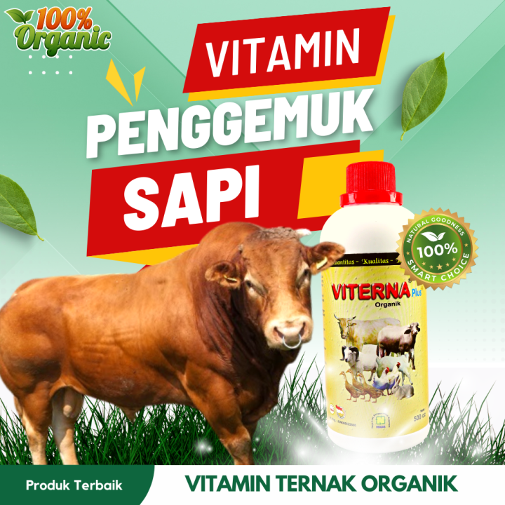Vitamin sapi Nutrisi penggemuk 500 cc/Vitamin penambah nafsu makan sapi ...