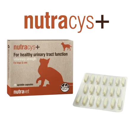 Nutracys+: อาหารเสริมดูแลระบบทางเดินปัสสาวะ สำหรับสุนัขและแมว | Lazada ...