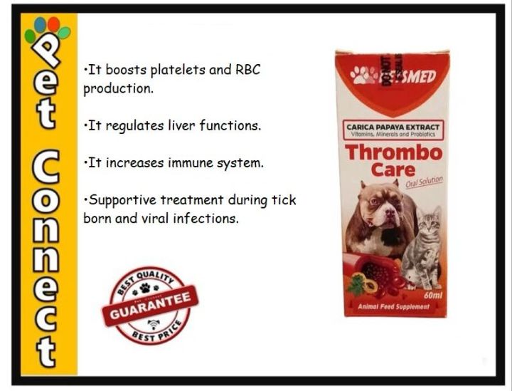 Petsmed Thrombo Care Papaya Extract, Multivitamins, Mineral and ...