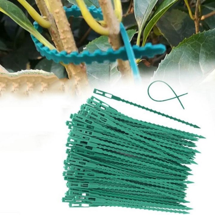 SDFBN Corrosion Resistance Self-locking Growth Fish Bone Tree Band ...