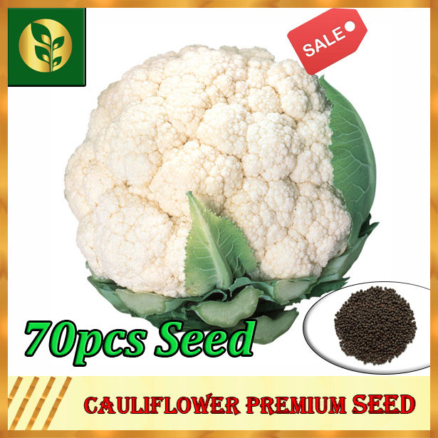 Cauliflower Seeds | Cauliflower Seed | Vegetables seeds | Golden Plant ...