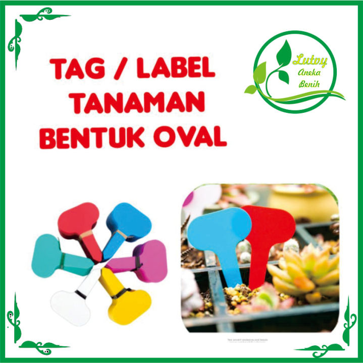 ( 10 PCS )Label tanaman /Label penanda tanaman (oval) | Lazada Indonesia