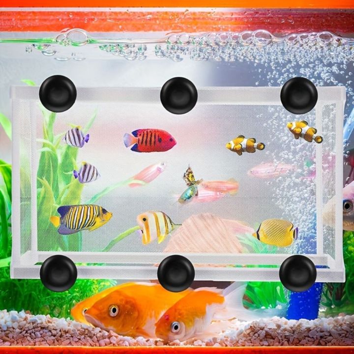 MAULLY Hanging Fish Breeding Breeder Box Aquarium with Suction Cups ...