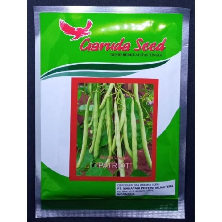Benih Buncis Hitam 500gr Patriot Garuda Seed Biji Bibit Unggul | Lazada ...