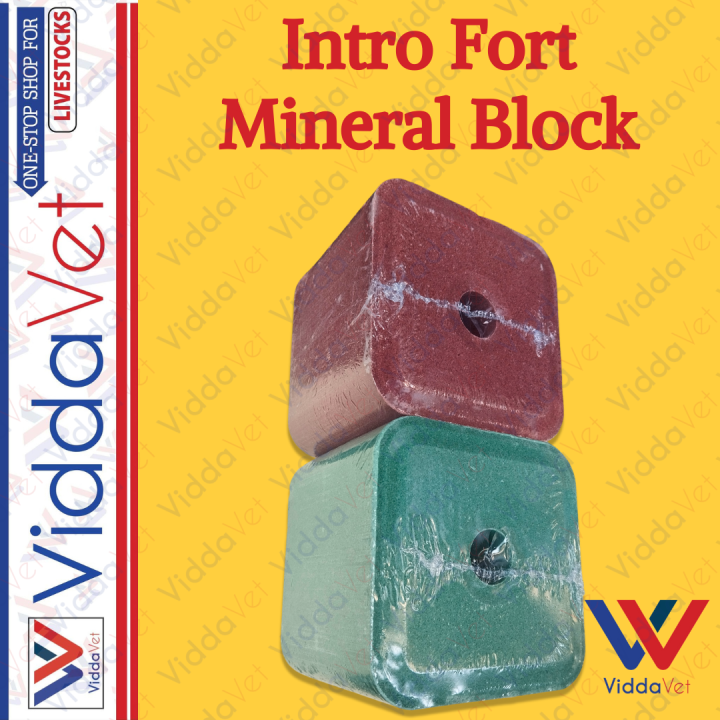 Intro Fort Block Mineral Block 5kgs Holland for Cattle Sheep Goat ...