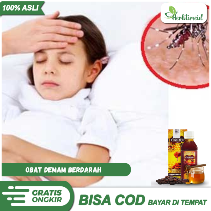 Obat Herbal Untuk Demam Berdarah/Obat DBD Dan Tipes Pada Anak Dan ...
