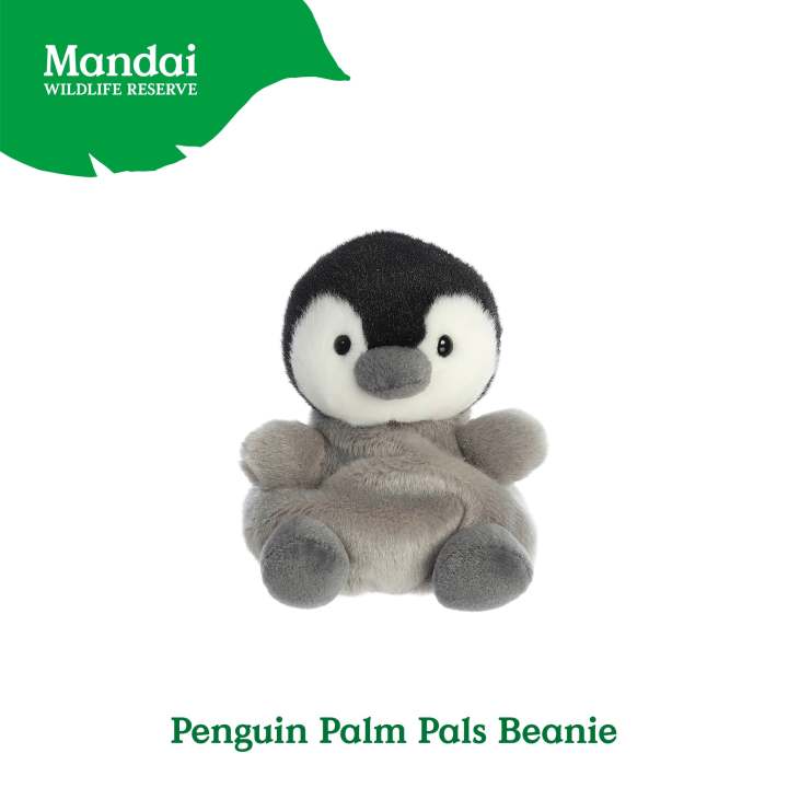 Penguin Kingdom Cuddle & Explore Plush Toy – Realistic Stuffed Animal ...