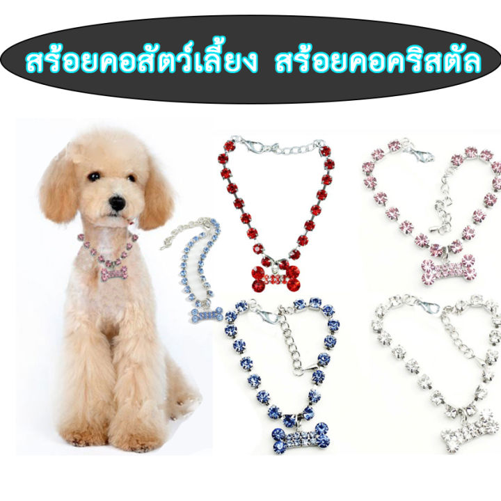 PC-216 เพชรคริสตัล ปลอกคอลูกแมว สร้อยคอสัตว์เลี้ยง คริสตัลเพชร อุปกรณ์ ...