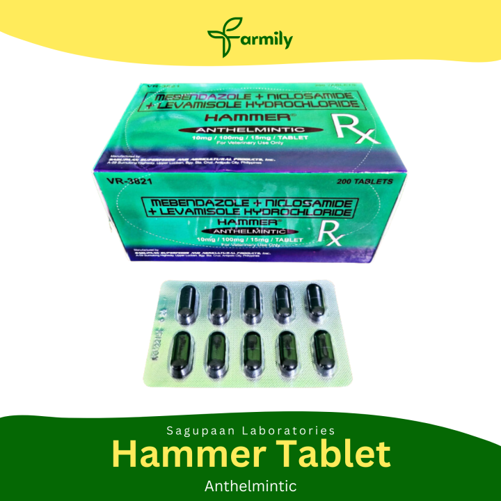 Hammer Tablet | Lazada PH