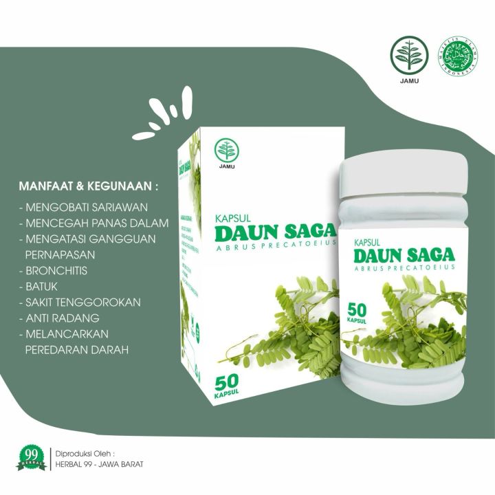 Daun sagar kapsul herbal daun saga obat batuk herbal daun saga obat ...