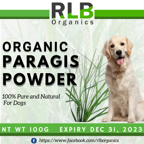 100 grams Paragis Powder for Dogs - Paragis Plant Powder for Dogs, 100 ...
