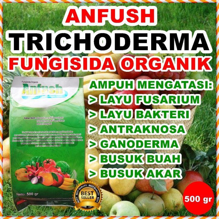 Anfush 500 gr Tricoderma Gliocladium SP Fungisida Organik Pupuk ... Anfush 500 gr Tricoderma Gliocladium SP Fungisida Organik Pupuk ...