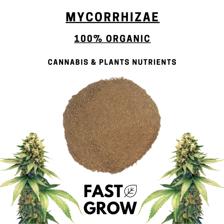 Mycorrhiza FastGrow เชื้อราที่มีประโยชน์ ไมคอร์ไรซาคือฮีโร่ในดินของคุณ ออร์แกนิค 100% | Lazada.co.th