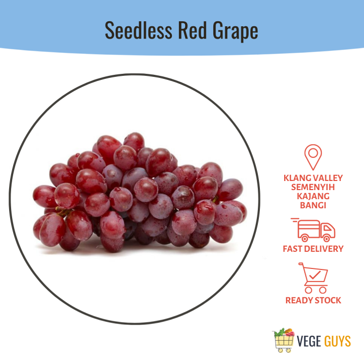 Seedless Red Grape 无籽红葡萄 (+/- 500g) | Lazada