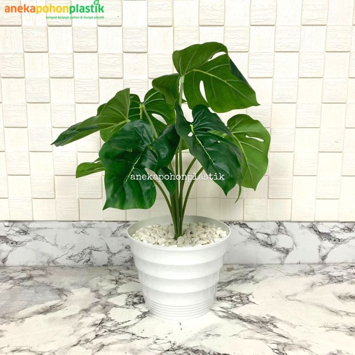 Tanaman Palsu Daun Monstera Variegata Hijau Tua X9 Artificial Pot Ulir ...