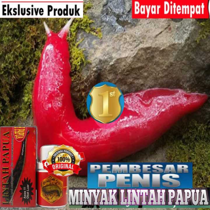 MINYAK LINTAH PAPUA OBAT PEMBESAR ASLI DARI PAPUA | Lazada Indonesia