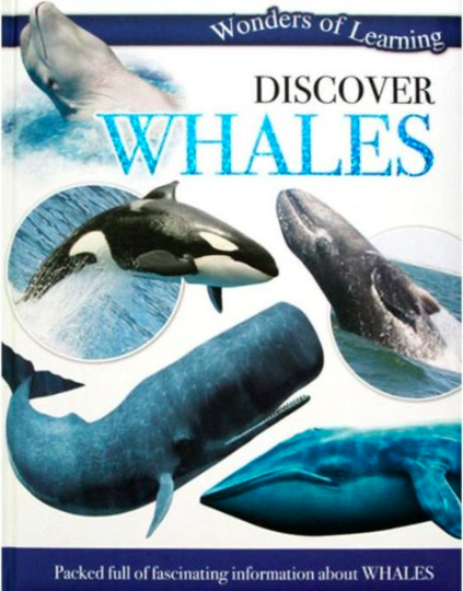 Wonders of Learning Discover Whales | English | Children’s Book | Lazada PH