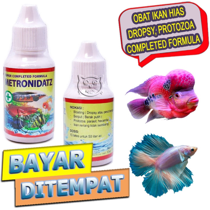 Metronidatz Obat Perut Besar Buncit Sirip Rusak Bintik Putih Ikan Hias ...