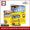 Waterplug Fast Setting Cement Cementitious Waterproofing 2.5LB | Lazada PH