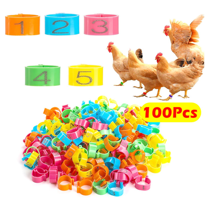50/100Pcs Chicken Leg band ring 16mm Numbered Poultry foot rings ...