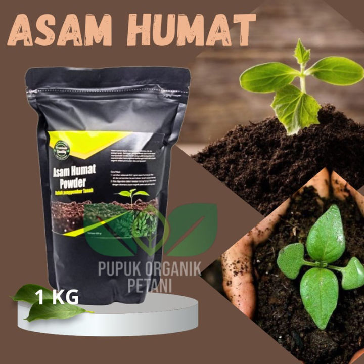 Pupuk Asam Humat 1 Kg Pembenah Tanah Untuk Semua Tanaman Padi Cabai Buah Bunga Memperbaiki ...