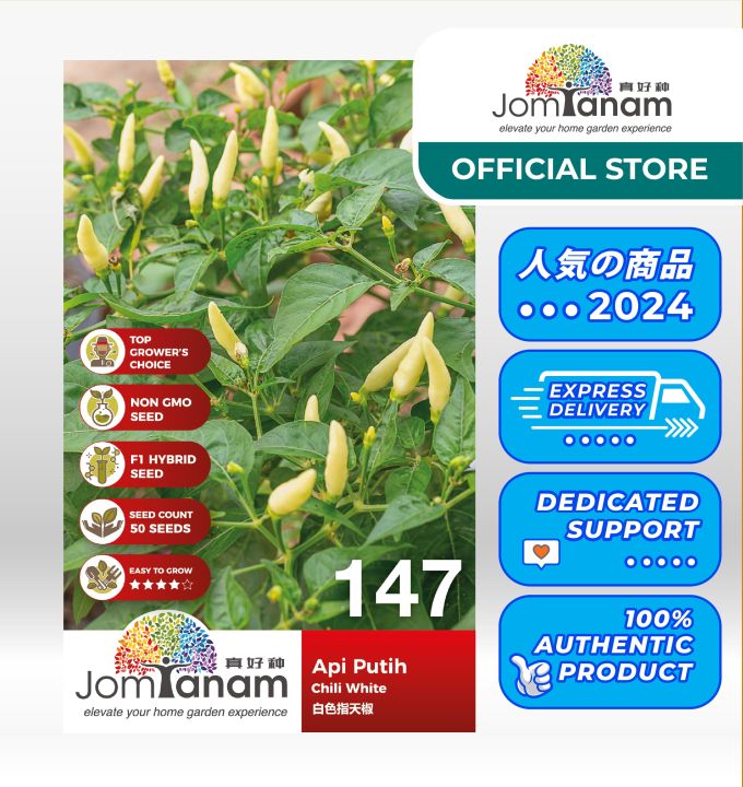 JOM TANAM White Chili Seed/Benih Cili Putih/白色指天椒种子/Api Putih 147 (50 seeds) | Lazada