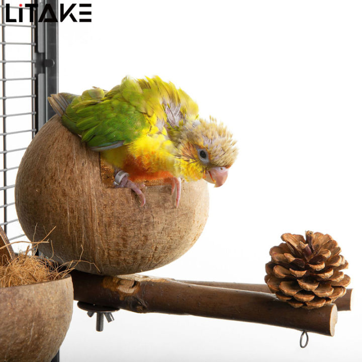 Coconut Shell Bird Nest Natural House Hut Cage With Perch Bell House ...
