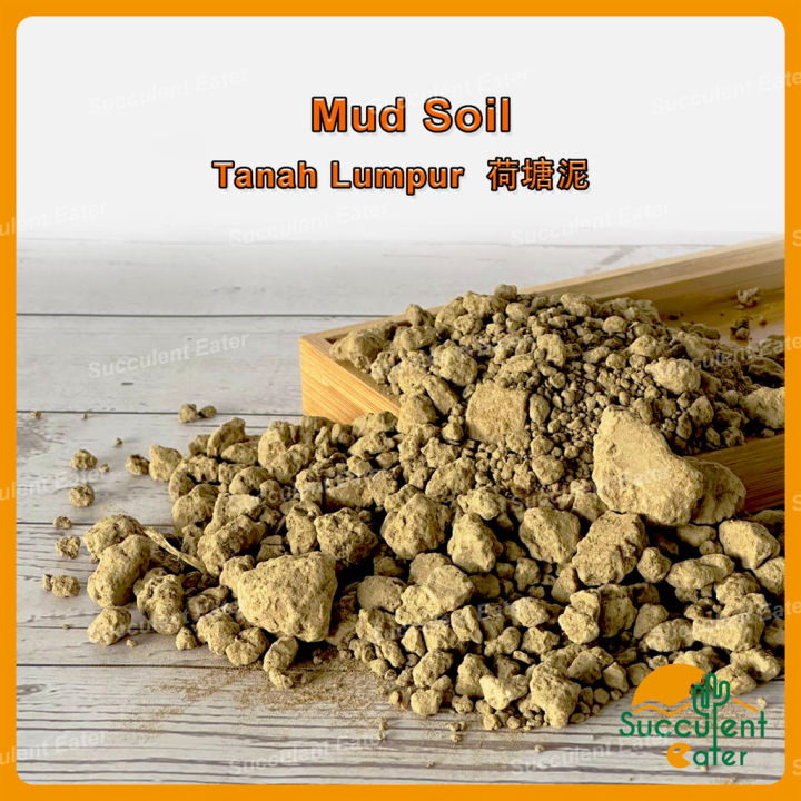 1kg Mud Soil Lotus Water Lily Tanah Hydroponic Hydroponik 荷塘泥 荷花水莲水培泥土 ...
