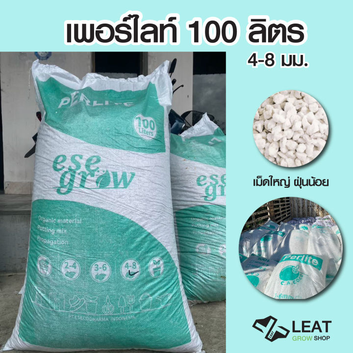 เพอร์ไลท์ 4-8มม. 100ลิตร ฝุ่นน้อย Perlite 100 Liter dust less | Lazada ...