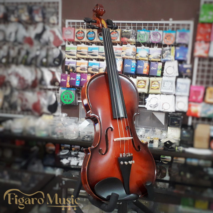 Biola Dvorak Violin, Made in Czecho - Serie AS 037 | Lazada Indonesia
