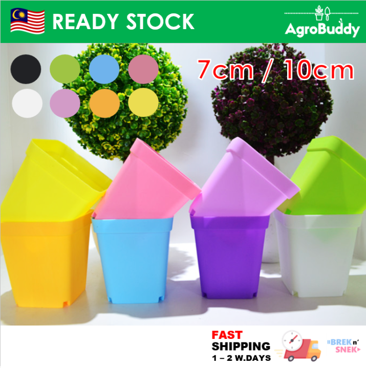 AgroBuddy 7/10cm Colorful Succulent Cactus Mini Square Plastic Pot ...
