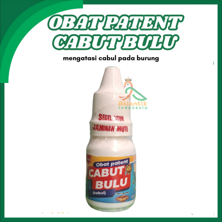 [AI] BMW Obat Cabut bulu dengan Tuntas Untuk burung suplemen burung ...