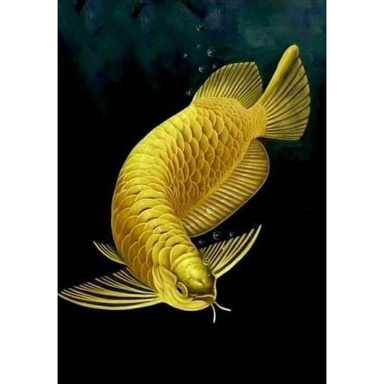 DIY Diamond Embroidery Arowana Round Full Diamond beads Golden Fortune ...