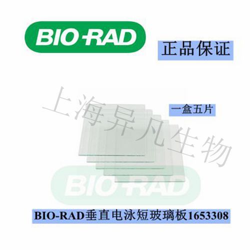 Electrophoresis thin glass plate Bole small vertical short board BIO ...